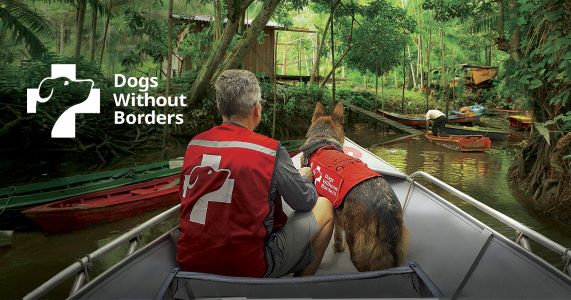 Dogs Without Borders